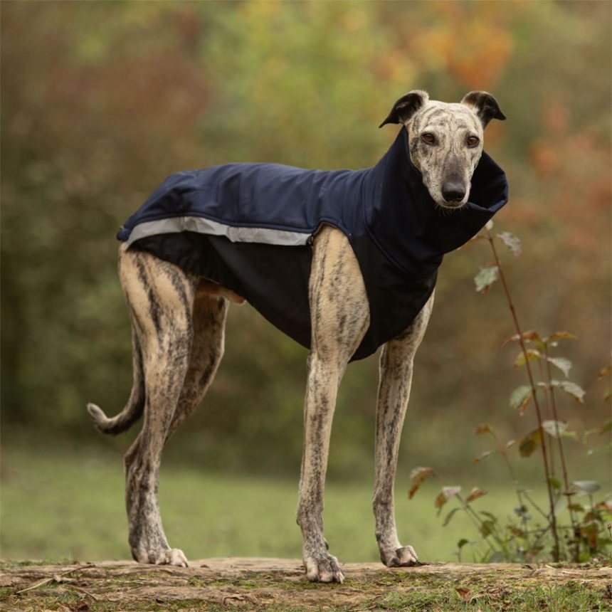 Windhonden Jassen - Overzicht - Rapid Dog Wear